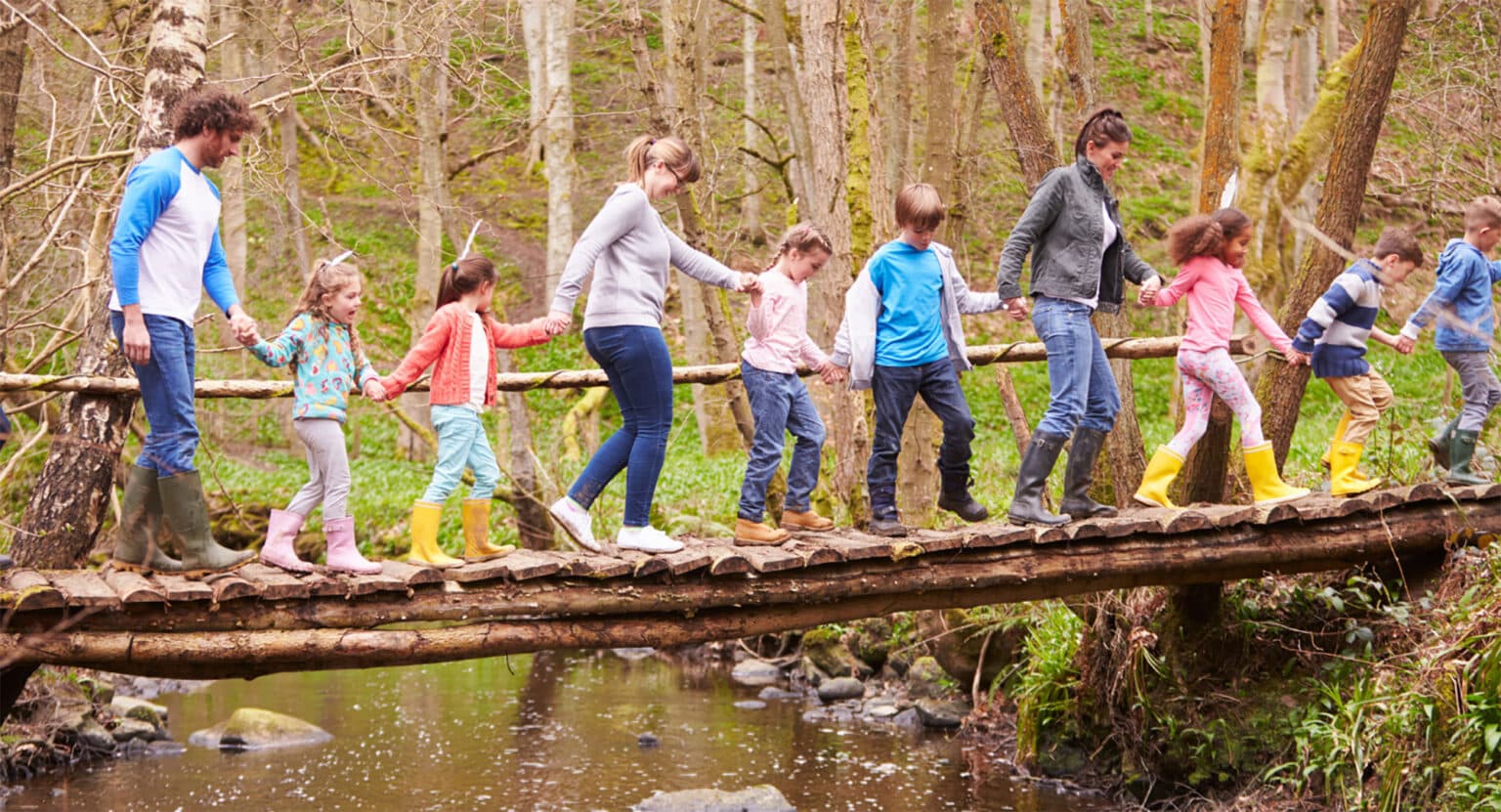 Family Law Attorneys for Poly Families in Bellevue, WA
